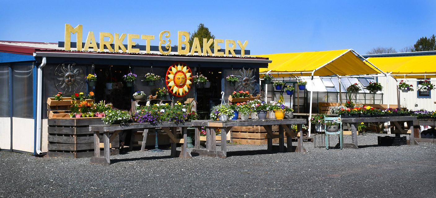 Home - Dutch Valley Market